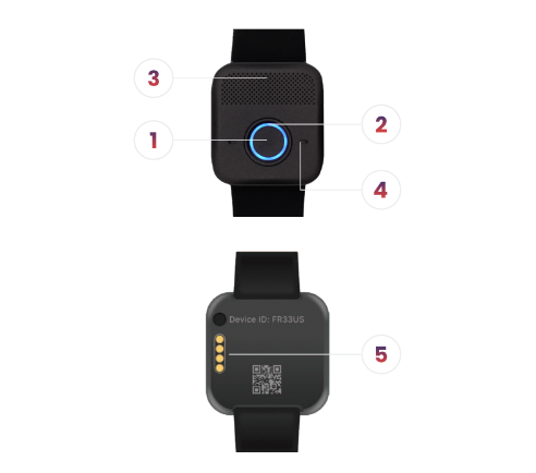 MGMini Lite - MG Support